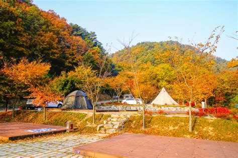 단풍 캠핑 무주 향로산자연휴양림 야영장 그리고 와인 테라피 체험 네이버 블로그