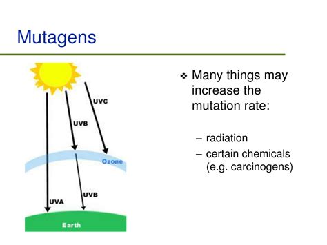Ppt Evolution And Natural Selection Powerpoint Presentation Free