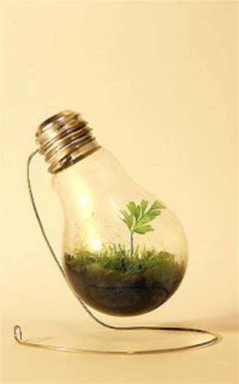 56 Bright Ideas To Recycle Old Light Bulbs Light Bulb Terrarium Old Lights