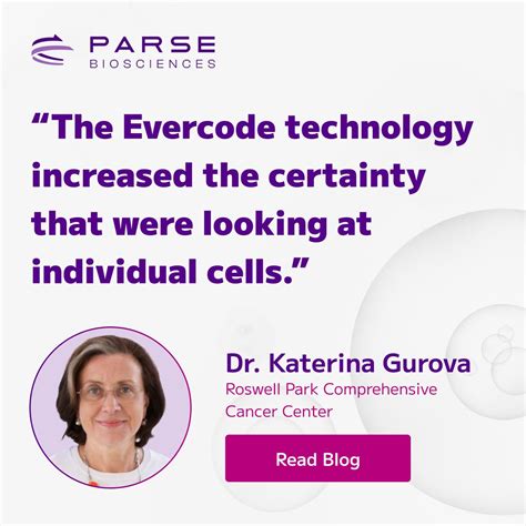 A Closer Look At Chromatins Role In Cancer Using Single Cell Rna Seq