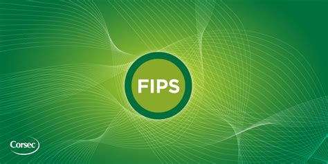 Fips 140 2 For Beginners Corsec Covers The Basics