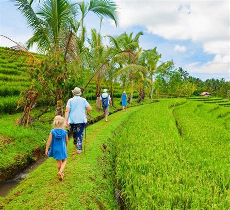 Best And Worst Times To Visit Bali 2026 First Timer Guide