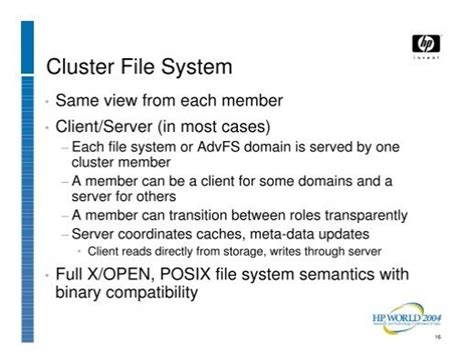cluster file system s