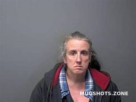 Angelina Dawn Minga 12 09 2024 Baxter County Mugshots Zone