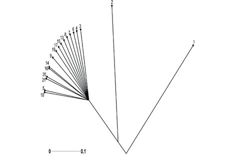 Growing From Root Tree Indicating The Genetic Relationship Among 21 Download Scientific Diagram