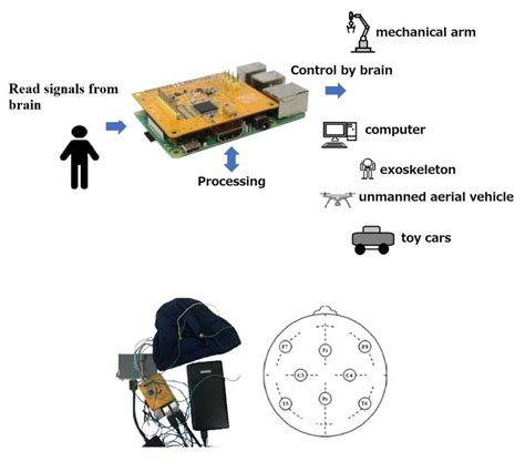 ildar rakhmatulin on linkedin great news pieeg device for measuring eeg via raspberry pi was