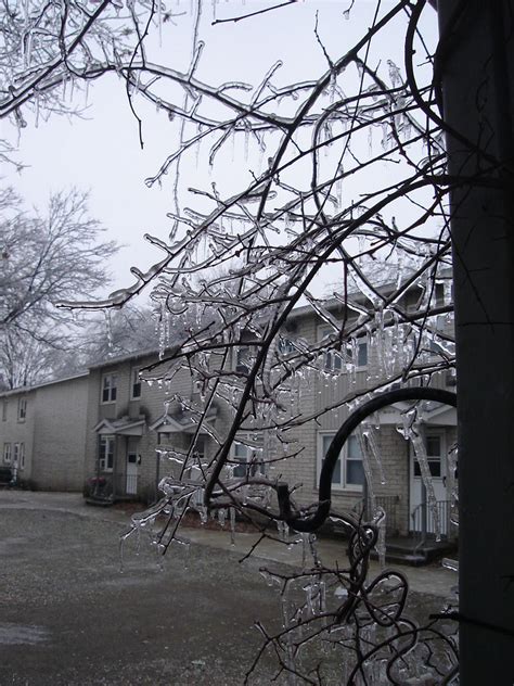 Icy Tendrils By Emilycammisa On Deviantart