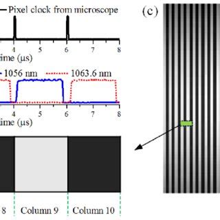 Pixel To Pixel Synchronization Of The Microscope And The Two Wavelength Download Scientific