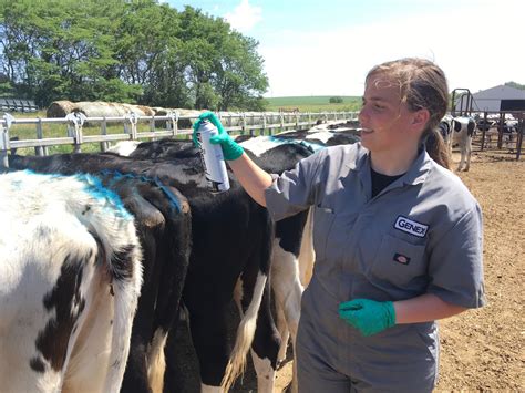 The Genex Blog Genex Dairy Marketing Intern Beef Girl In A Dairy World