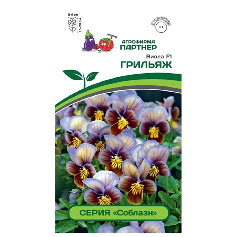 Виола фиалка Грильяж описание сорта характеристики особенности посадки и выращивания отзывы