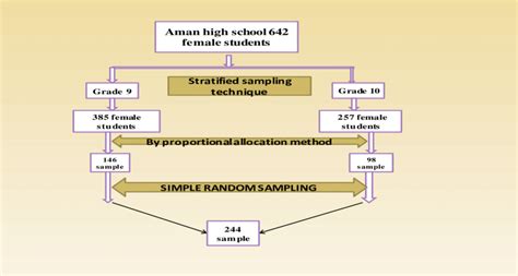 Schematic Presentation Of Sampling Procedure For Female Babes In Download Scientific Diagram