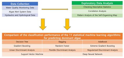 Water Free Full Text Evaluating Statistical Machine Learning Algorithms For Classifying