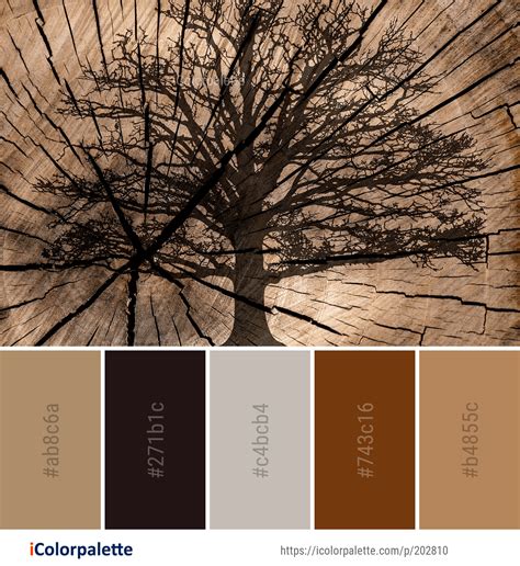 Brown And Tan Tree Color Palette Brown And Tan Tree Color Palette