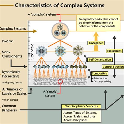 Steps In The Adaptive Management Cycle Source Download Scientific
