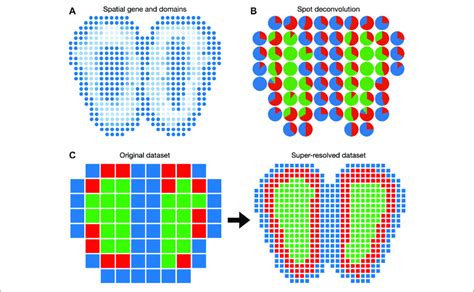 Visualization Of Gene Expression In The Euclidean Space A Download Scientific Diagram