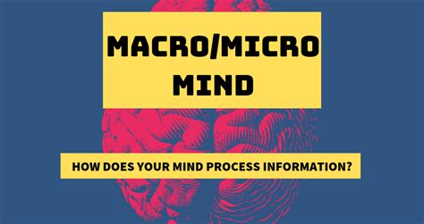 Biological Mind Mapping How Micromacro Is Your Brain Surveee