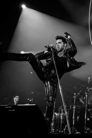 Live Portfolio Adam Lambert Concert Concert Adam Lambert