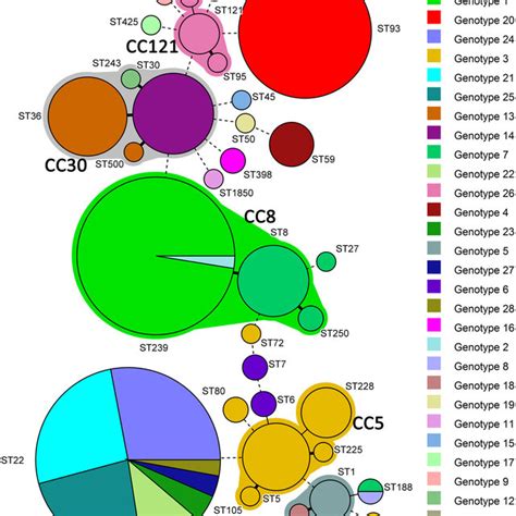 Minimum Spanning Tree Of Mlst Data From 47 S Aureus Clinical Isolates