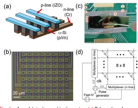 Figure 1 From High Yield Passive Si Photodiode Array Towards Optical Neural Recording Semantic