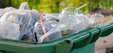 Singleuse Wachiwit Adobestock Fin Web Good Nature Travel Blog