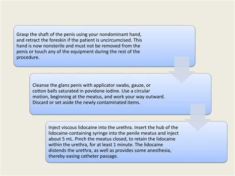 Urinary System Catheterization Procedure Pptx