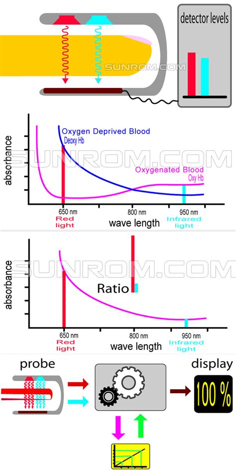 Spo2 Sensor Probe For Pulse Oximetry 3934 Sunrom Electronics
