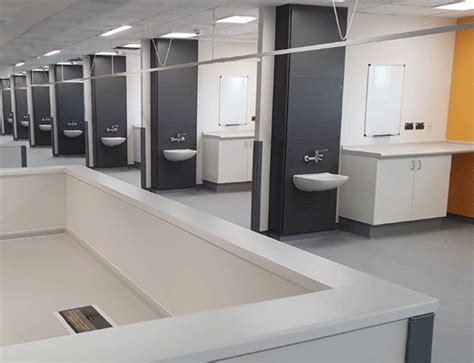 Healthcare Ips Willis Systems