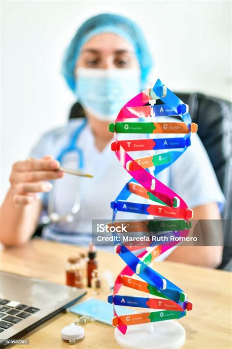 실험실의 책상에있는 노트북 근처의 Dna 구조 모델 Dna에 대한 스톡 사진 및 기타 이미지 Dna 유전자 연구 이스라엘