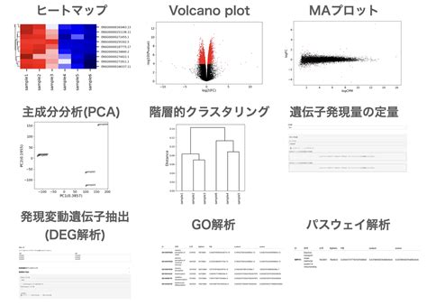 【tpm】rna Seq解析における遺伝子発現量の補正方法