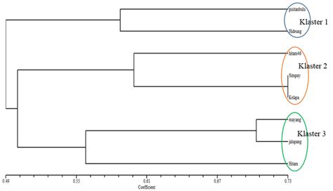 dendrogram based on all qualitative characters download scientific