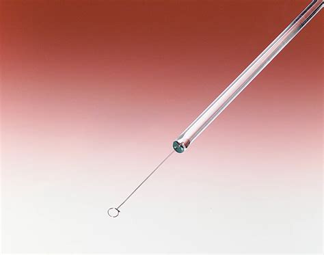 Inoculating Loop Platinum Flinn Scientific