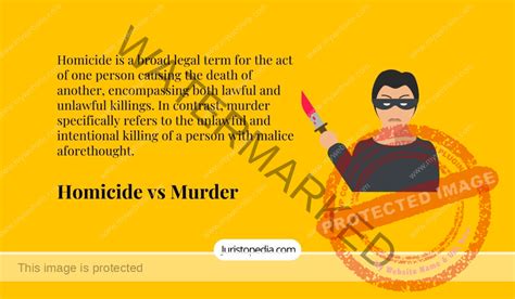 Homicide Vs Murder Legal Meaning Gravity Of Offences And Legal