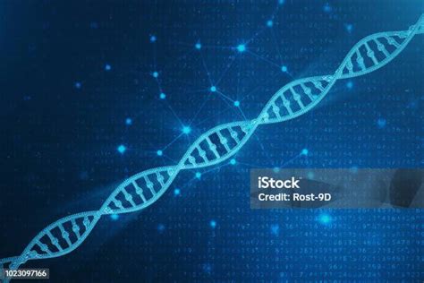 디지털 Dna 분자 구조 개념 이진 코드 인간 게놈 수정 된 유전자는 Dna 분자 3 차원 일러스트 레이 션 3차원 형태에 대한 스톡 사진 및 기타 이미지 Istock
