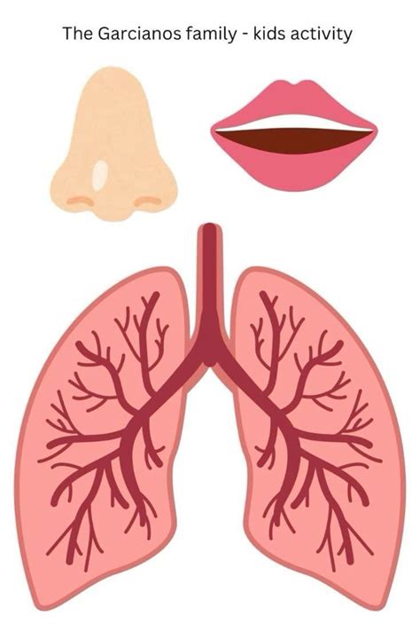 Pin Di Jood Su مرات الحفظ السريع Lavoretti Scientifici Attività Del