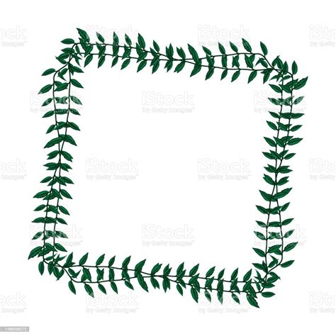 작은 꽃을 가진 녹색 피는 Tradescantia 식물 프레임입니다 인사말 카드 장식 초대 카드를 위한 만화 사각형 테두리 흰색 배경에 분리된 컬러 벡터 0명에 대한 스톡