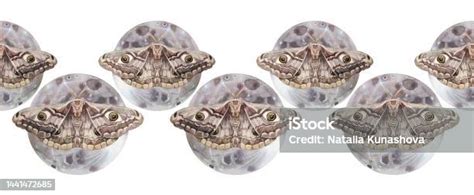 흰색 배경에 나방이 있는 매끄러운 림 수채화 매직 문 손으로 그린 밤 루나 빛과 별이 벽지를 위해 포장을위한 보호 스타일 하늘에 점성술 개체입니다 스케치북의 테두리