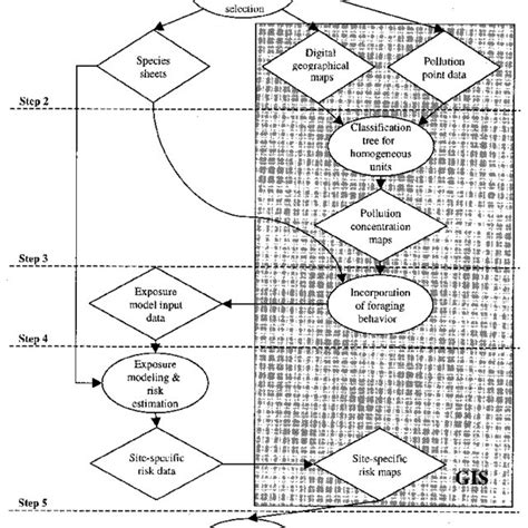 Flow Diagram Of The Proposed Procedure For The Incorporation Of Spatial Download Scientific