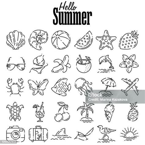 여름과 해변의 얇은 라인 아이콘 세트 윤곽선 기호 컬렉션입니다 게에 대한 스톡 벡터 아트 및 기타 이미지 게 공 스포츠 장비 관광 Istock