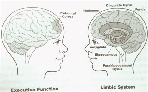 Peer Tutors Extended Core Program
