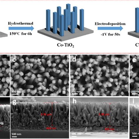 Pdf Cobalt Doped Tio2 Nanowire Arrays Coated With Nife Layered Double Hydroxide Nanoplatelets
