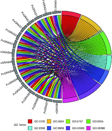 Top 7 Go Enrichment Analysis Results Were Shown Go3700 Dna Binding Download Scientific