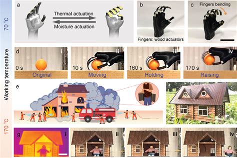 Wood‐based Robotic Hand And Its Application In Fire Rescue A Scheme