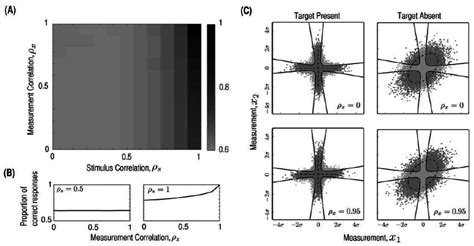 Performance Of An Optimal Observer On A Single Target Detection Task Download Scientific