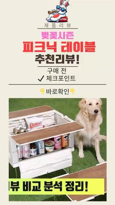 벚꽃 시즌 감성 피크닉 테이블 구매 원한다면 지금 바로 클릭하세요 구매 고민없이 이거하나면 됩니다 Shorts Youtube