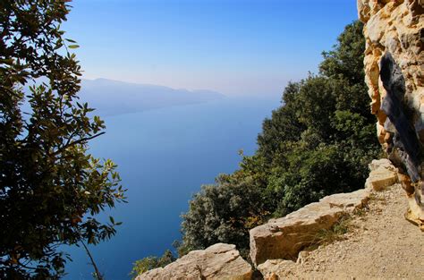 картинки пейзаж дерево природа камень пустыня гулять пешком