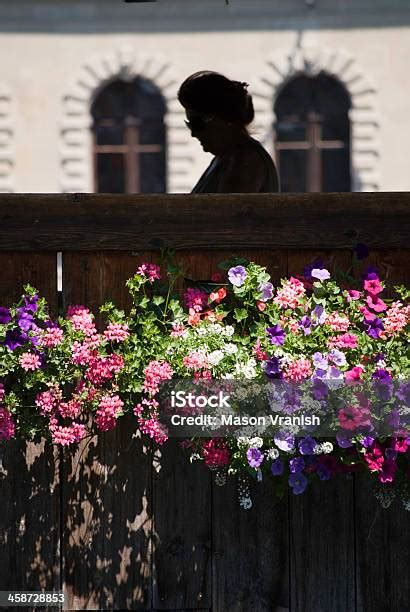 Lucerne Swiss Foto Stok Unduh Gambar Sekarang Budaya Swiss Bunga