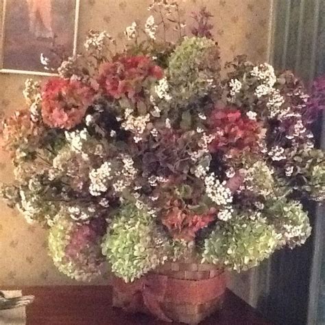 50 Best Dried Hydrangea Arrangements Images On Pinterest Hydrangeas