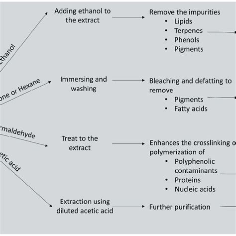Effect Of Solvents On Extractionpurification Of Fcsps Download