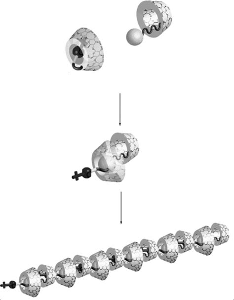 31 Structures Of Alternating α β Cyclodextrin Polymers Permission Download Scientific Diagram