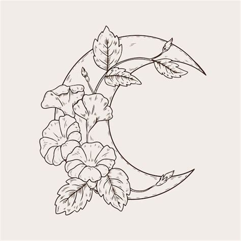 Free Vector Hand Drawn Crescent Moon Drawing Illustration